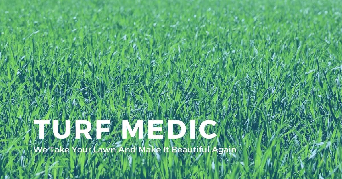 Privacy Policy - Turf Medic
