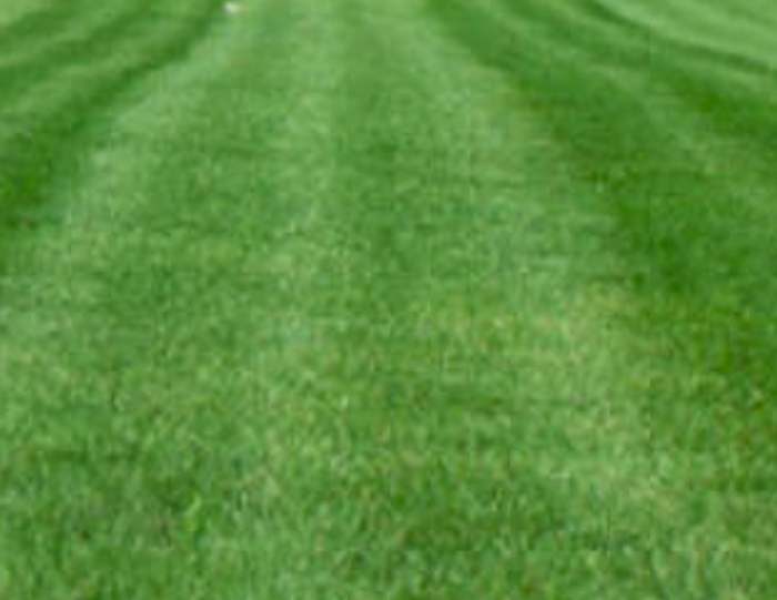 Turf Medic Property Maintenance Brantford - Free Estimates